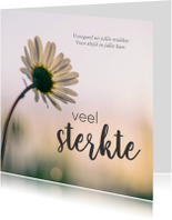 Condoleance kaart - Condoleancekaart maken | Kaartje2go