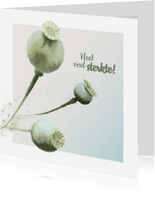 Sterkte kaart - Originele sterkte kaartjes | Kaartje2go